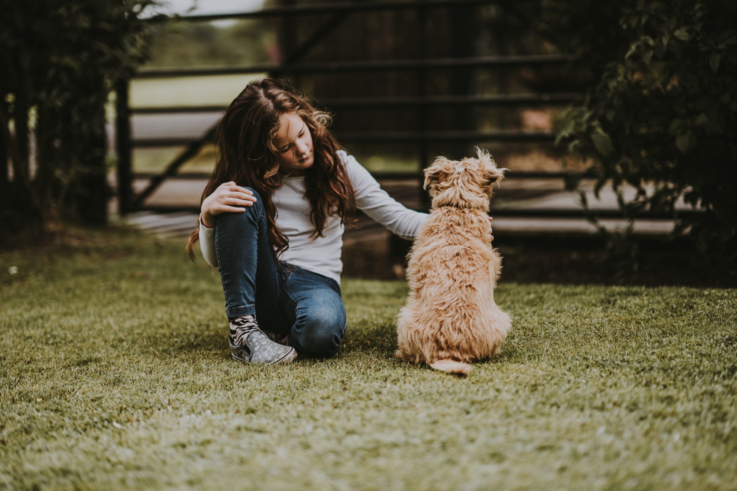 Dog Bites A Child What Parents Need To Know Nevada Legal Group dog-bites-a-child-what-parents-need-to-know-nevada-legal-group